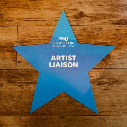 Our Work - Artist Liaison